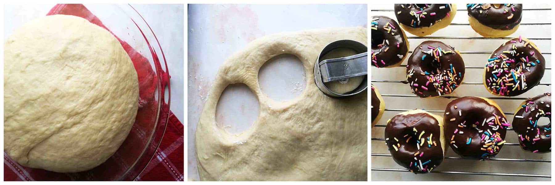 Baked Doughnuts ⋆ The Gardening Foodie Baked Doughnuts