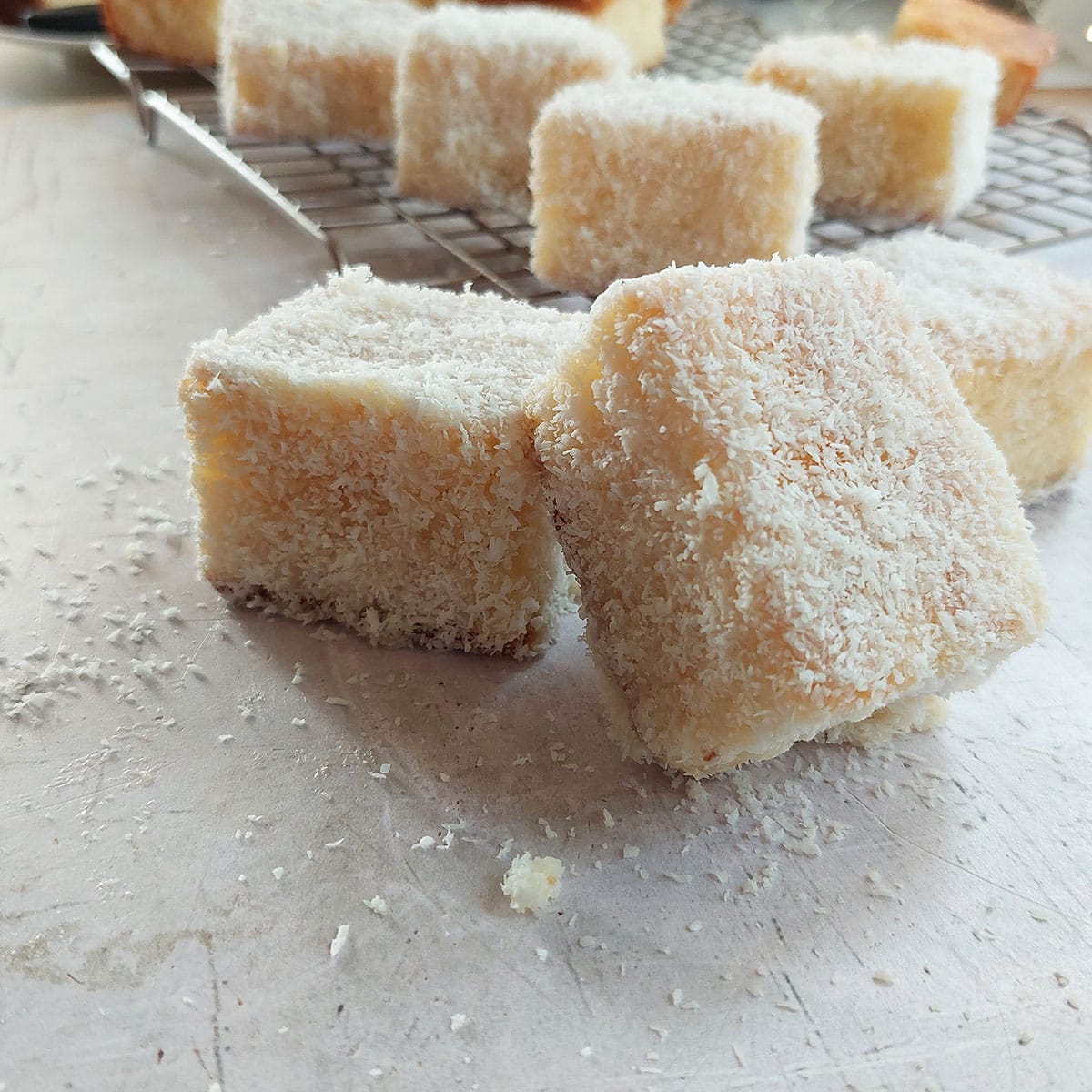 White Chocolate Lamingtons ⋆ The Gardening Foodie